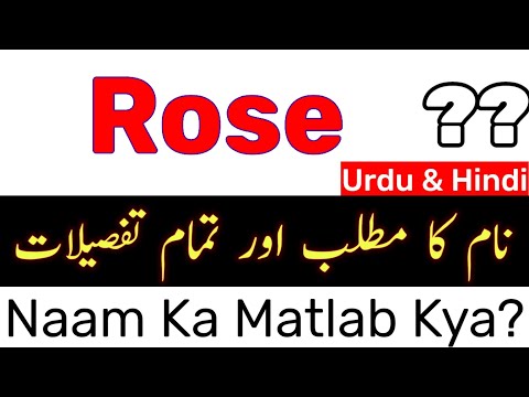 Rose Naam Ka Matlab / Rose Ka Matlab / Rose Name Meaning In Urdu / Rose Naam Ke Mayne / Girl Name