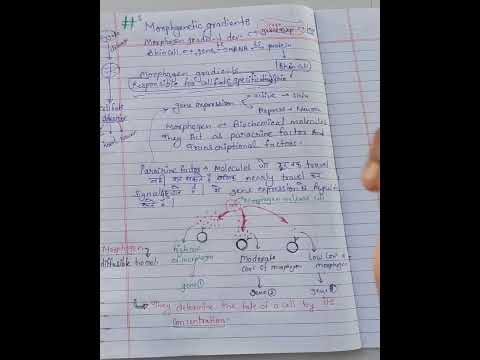 Morphogenetic gradient ( part -1) developmental biology lecture-14