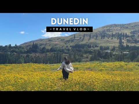 FIRST TIME IN DUNEDIN: THE EDINBURGH OF THE SOUTH | Travel New Zealand
