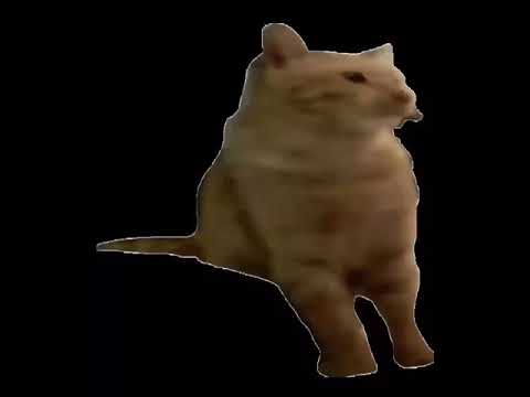 Steam Community :: Video :: rtx cat