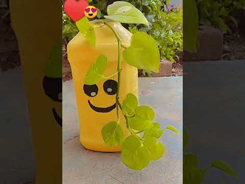 Cute emoji plant ||Diy Emojis planter😍❤#short #SmileEmoji #mygarden
