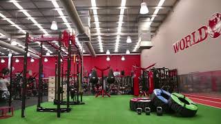 3 Best Gyms in Bundaberg QLD - Expert Recommendations