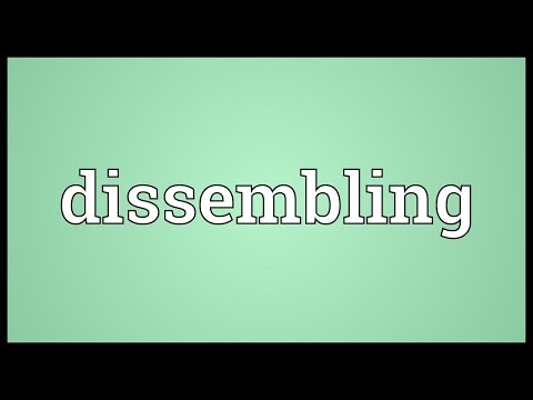 Dissembling Meaning