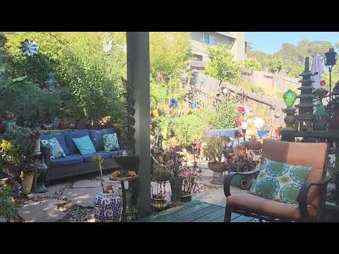 Mid-July Update for main Hayden backyard garden area | Haydennet.com ...
