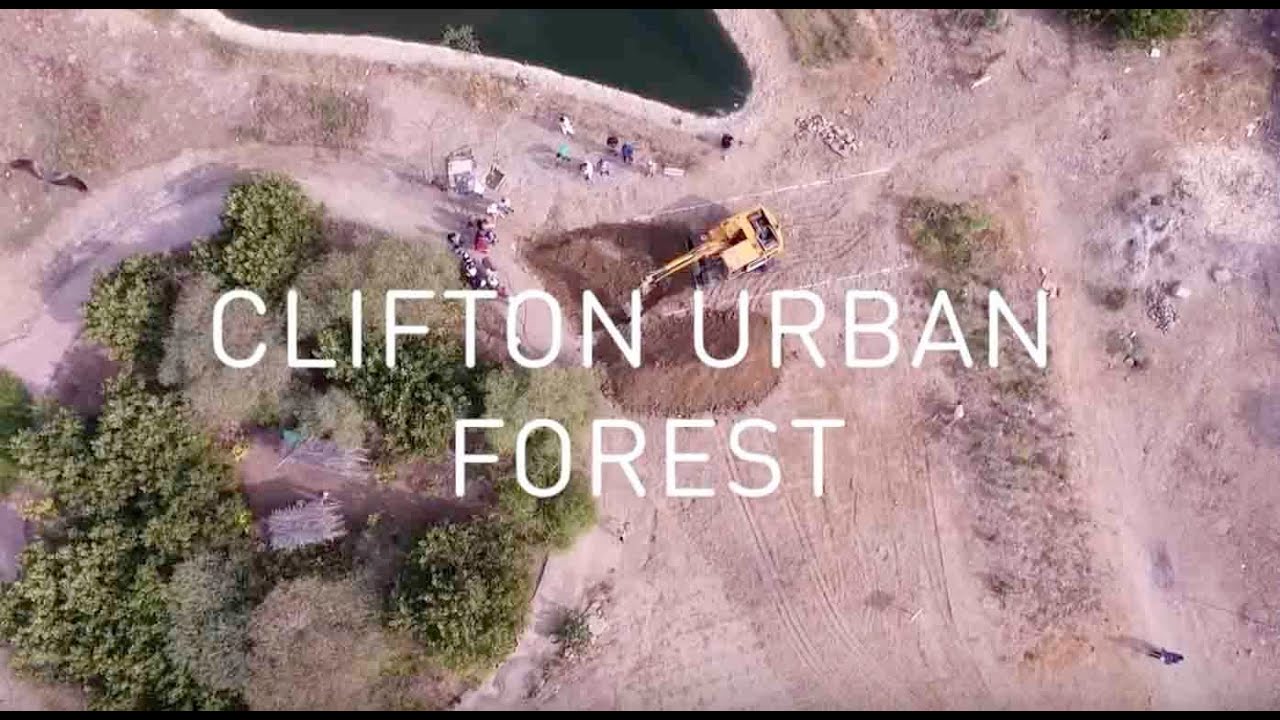 SUGi | Clifton Urban Forest, Karachi, Pakistan | Nature Based Solutions