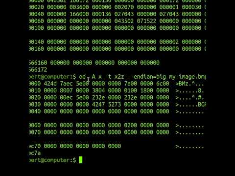 The 'od' Command In Linux