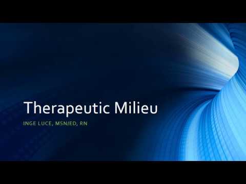 Therapeutic Milieu