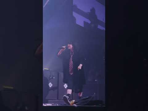 Billie performing “All I Wanted” with Paramore at the Forum