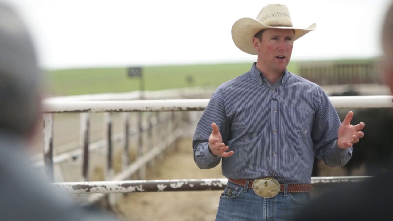 RRC Ag Days: How to select a bull for your herd