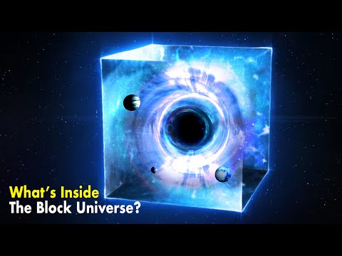 What Is A Block Universe? – Puerto Rico Oceanic Ecosystems Rescue ...