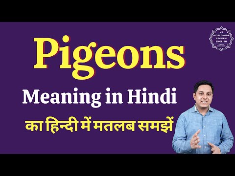 Pigeons meaning in Hindi | Pigeons ka matlab kya hota hai | English vocabulary words