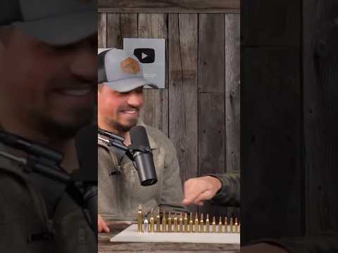 ALL The Varmint Cartridges? Which do You Choose?