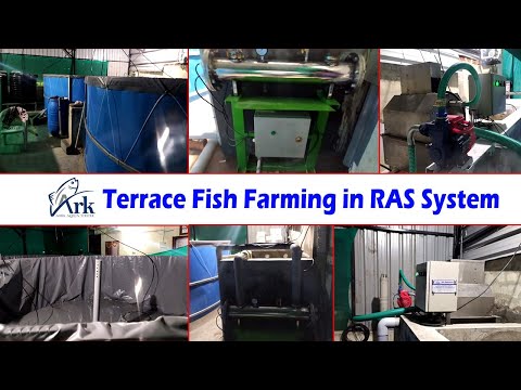 Recirculating Aquaculture System - Recirculatory Aquaculture System ...