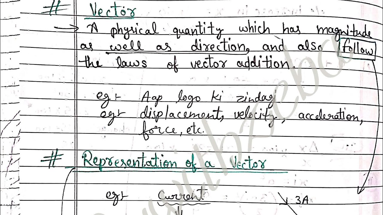 NEET Physics Chapter Vectors Handwritten Notes with questions| Important Tips| 