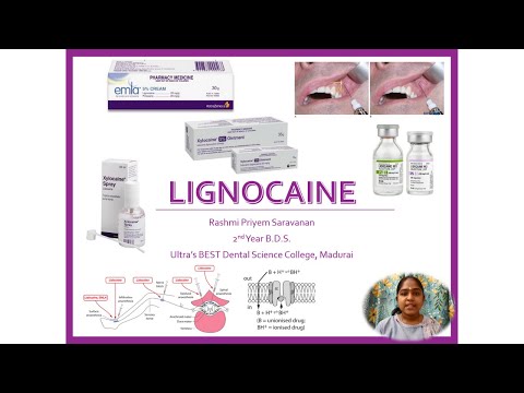 Lignocaine Injection - Lidocaine Injection Latest Price, Manufacturers ...