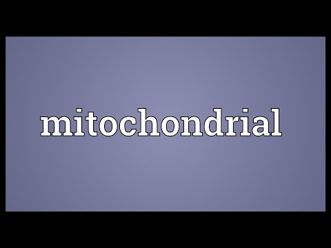 Mitochondrial Meaning