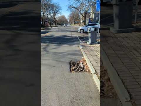 19th Ward Arnett Blvd #rochester #darkhumor #585
