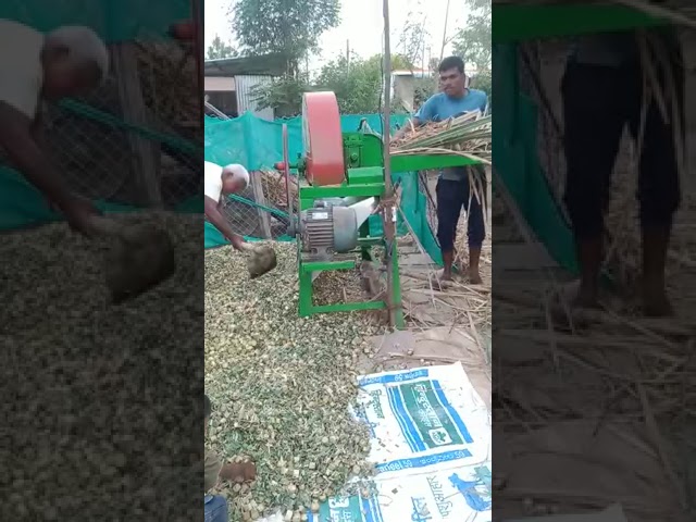 Chaff Cutter - Electric Chaff Cutter Manufacturer from Baramati