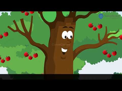 The Giving Tree