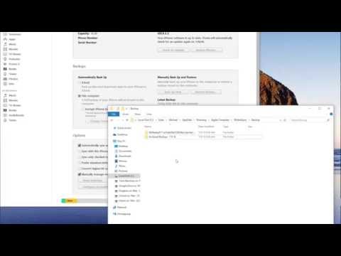 How To Perform an Archived Backup on iTunes for WINDOWS!