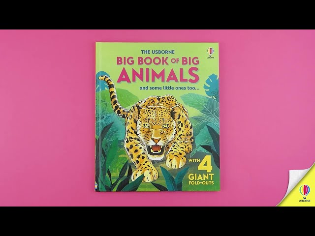 Big Book of Animals | Usborne | Be Curious