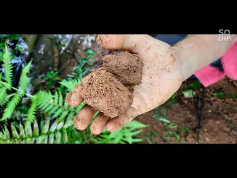 Hammon material_(pencarian dan pengolahan awal tanah liat/clay yang berkualitas)