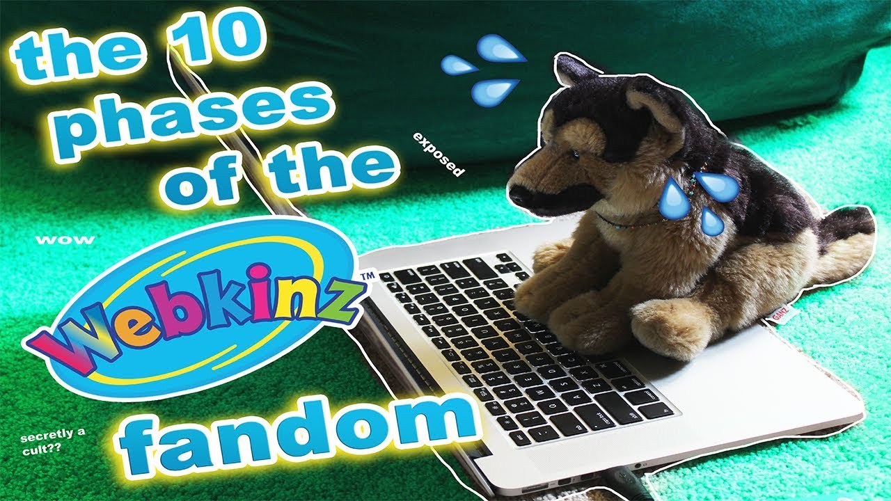 the 10 phases of the webkinz fandom