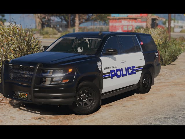 Inside the Sonora Valley Police Department's Solo Patrol Experience ...