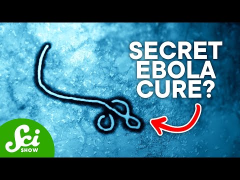 The 6 Rare Diseases Changing Modern Medicine