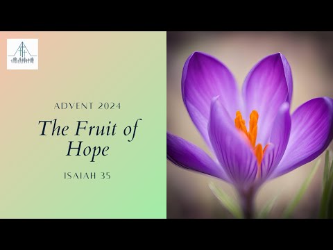 The Fruit of Hope – Tawa Baptist