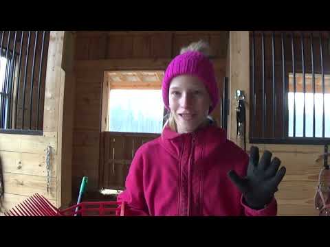 How to muck a horse stall.