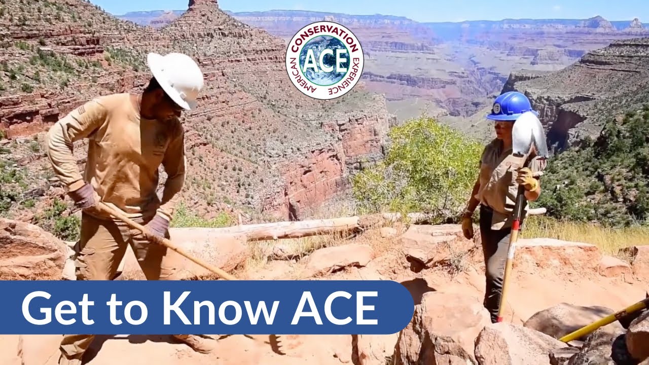 ACE Overview