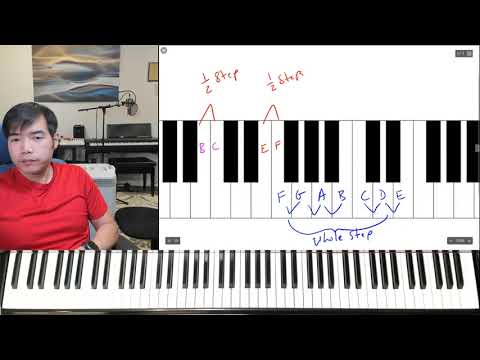 Interval Basics 2 Half Steps and Whole Steps