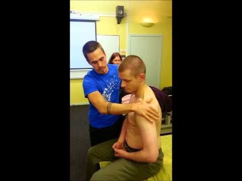 A Brief Look at the Coracoid Process of the Scapula