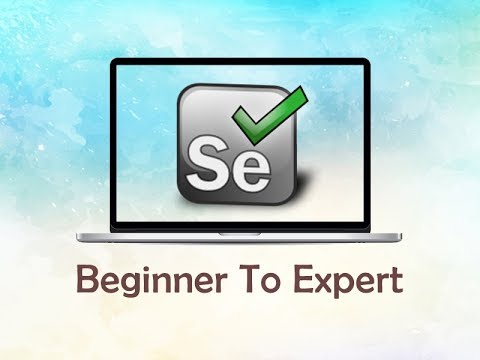 Selenium RC test case execution