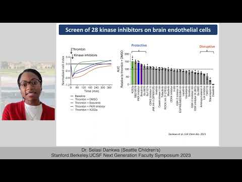 Towards a molecular understanding of blood-brain barrier dysfunction and repair in cerebral malaria