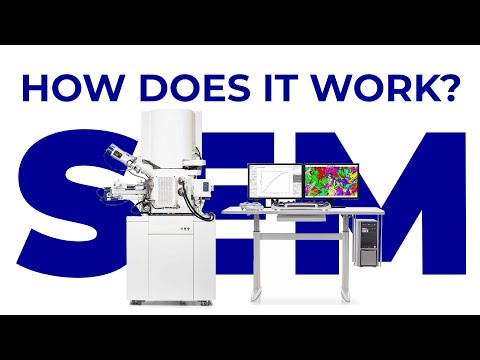 How does a scanning electron microscope (SEM) work?