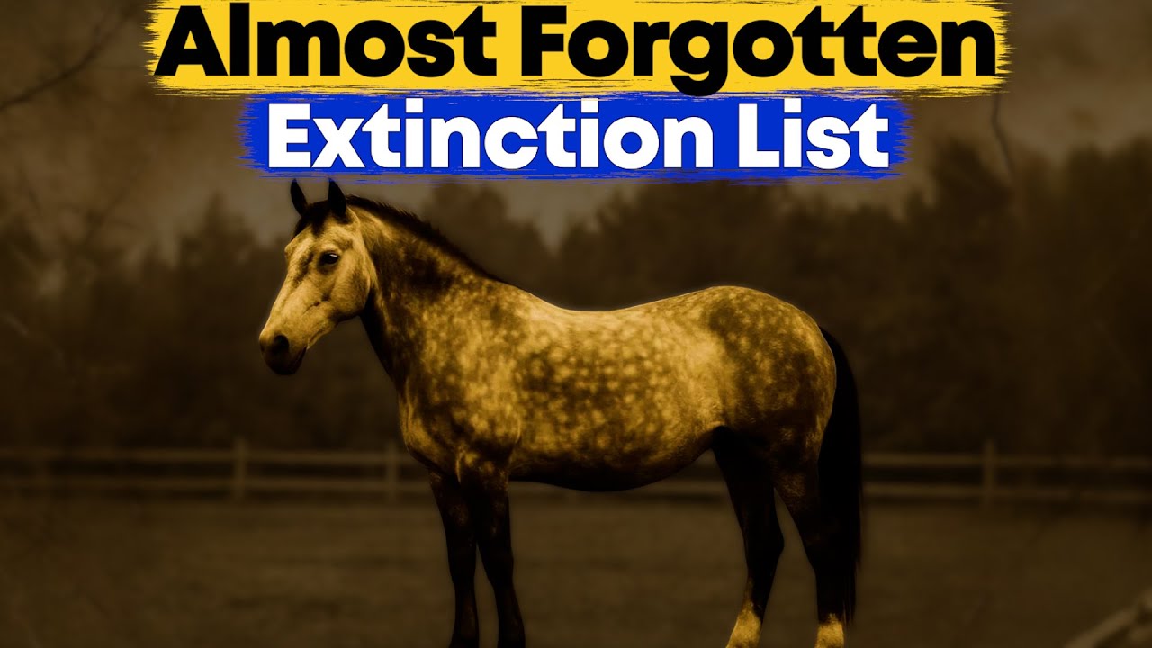 30 Rare Horse Breeds on the Brink of Extinction