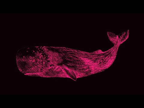 Decoding Nonhuman Communication | Polylogues
