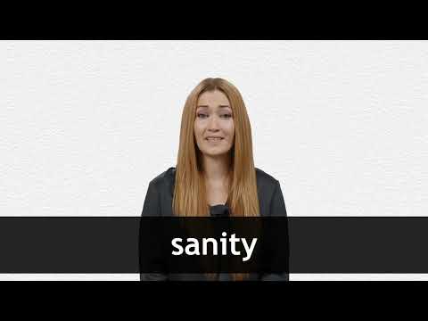 How to pronounce SANITY in American English