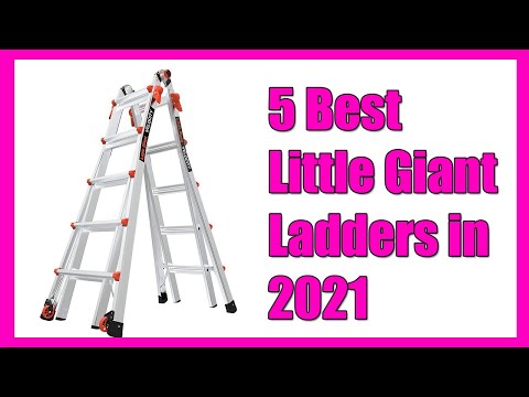 5 Best Little Giant Ladders in 2021
