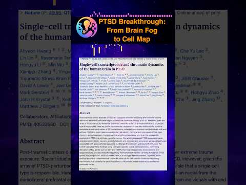 Breakthrough:From Brain Fog to Cell Map #PTSD #JournalClub