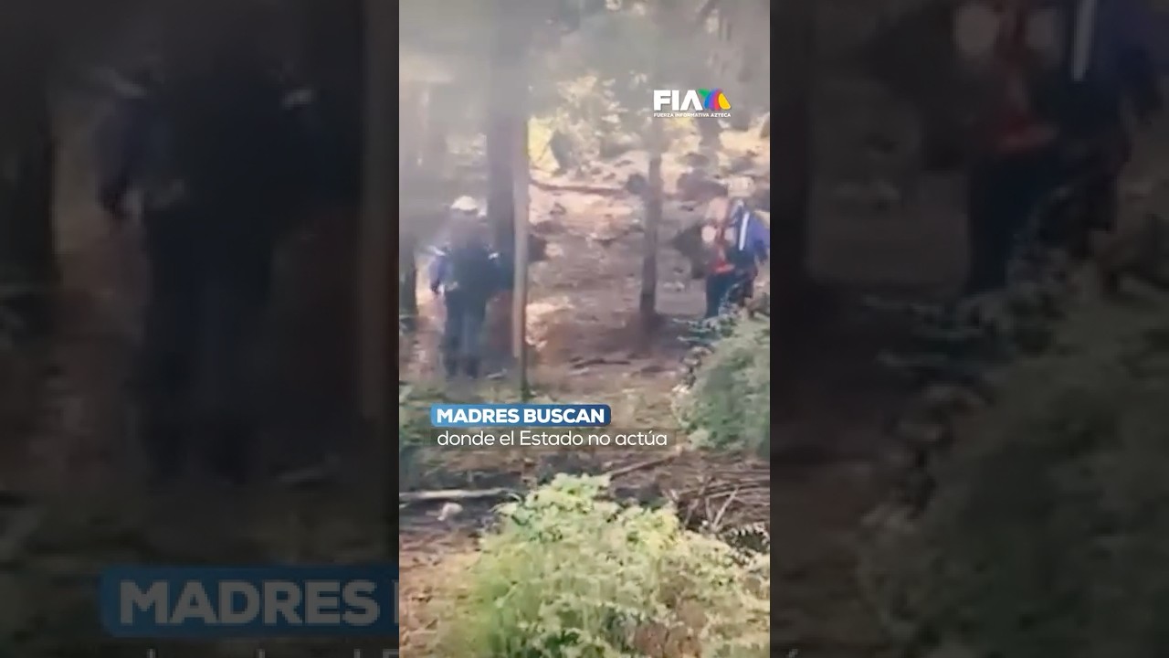 Ajusco: clandestine grave, land of searching, pain and abandonment