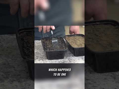 Unlocking the Growth Potential of Biochar in Soil: A Game-Changing Experiment!