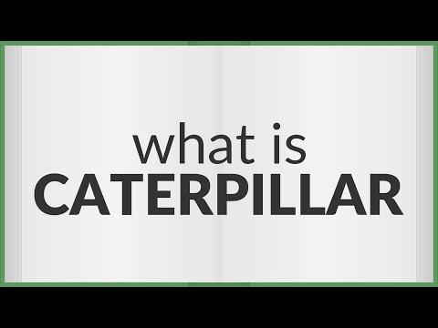 Caterpillar | meaning of Caterpillar