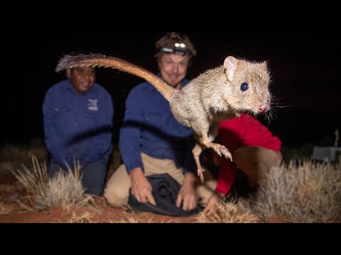 Rewilding Australia - GlobalGiving