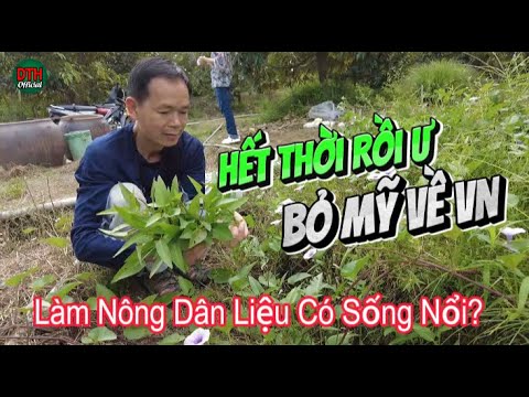 Việt Kiều Hết Thời Bỏ Mỹ về VN làm Nông Dân Liệu Sống Nổi Không?