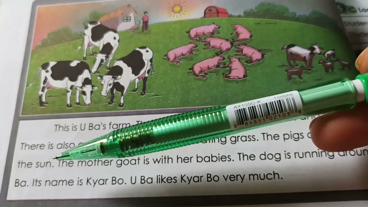 Grade _4,English, Unit 2 Animals