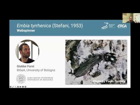 Embia tyrrhenica genome - Giobbe Forni
