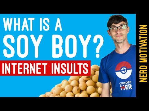 What is a SoyBoy? | Internet Insults